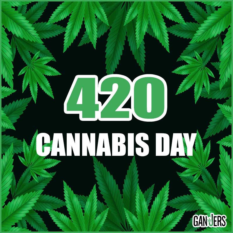 420 CANNABIS DAY: COSA SIGNIFICA? – Ganjers